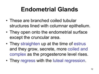 Anatomy of Female Reproductive Tract.ppt