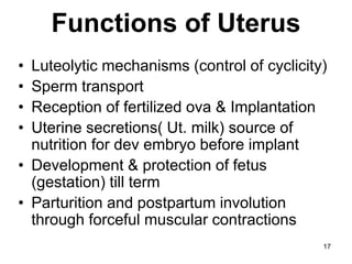 Anatomy of Female Reproductive Tract.ppt