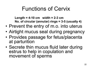 Anatomy of Female Reproductive Tract.ppt