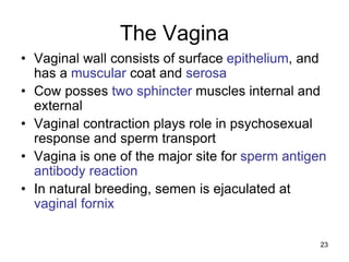 Anatomy of Female Reproductive Tract.ppt