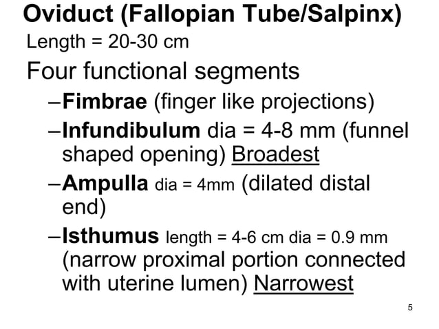Anatomy of Female Reproductive Tract.ppt