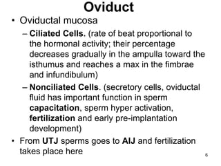 Anatomy of Female Reproductive Tract.ppt