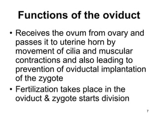 Anatomy of Female Reproductive Tract.ppt