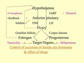 female sex hormones 08.ppt