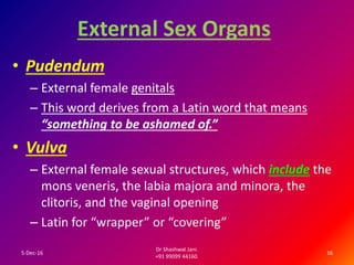 FEMALE SEXUALITY & PELVIC FLOOR BY DR SHASHWAT JANI | PPTX