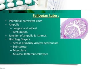 Female sterilisation | PPTX