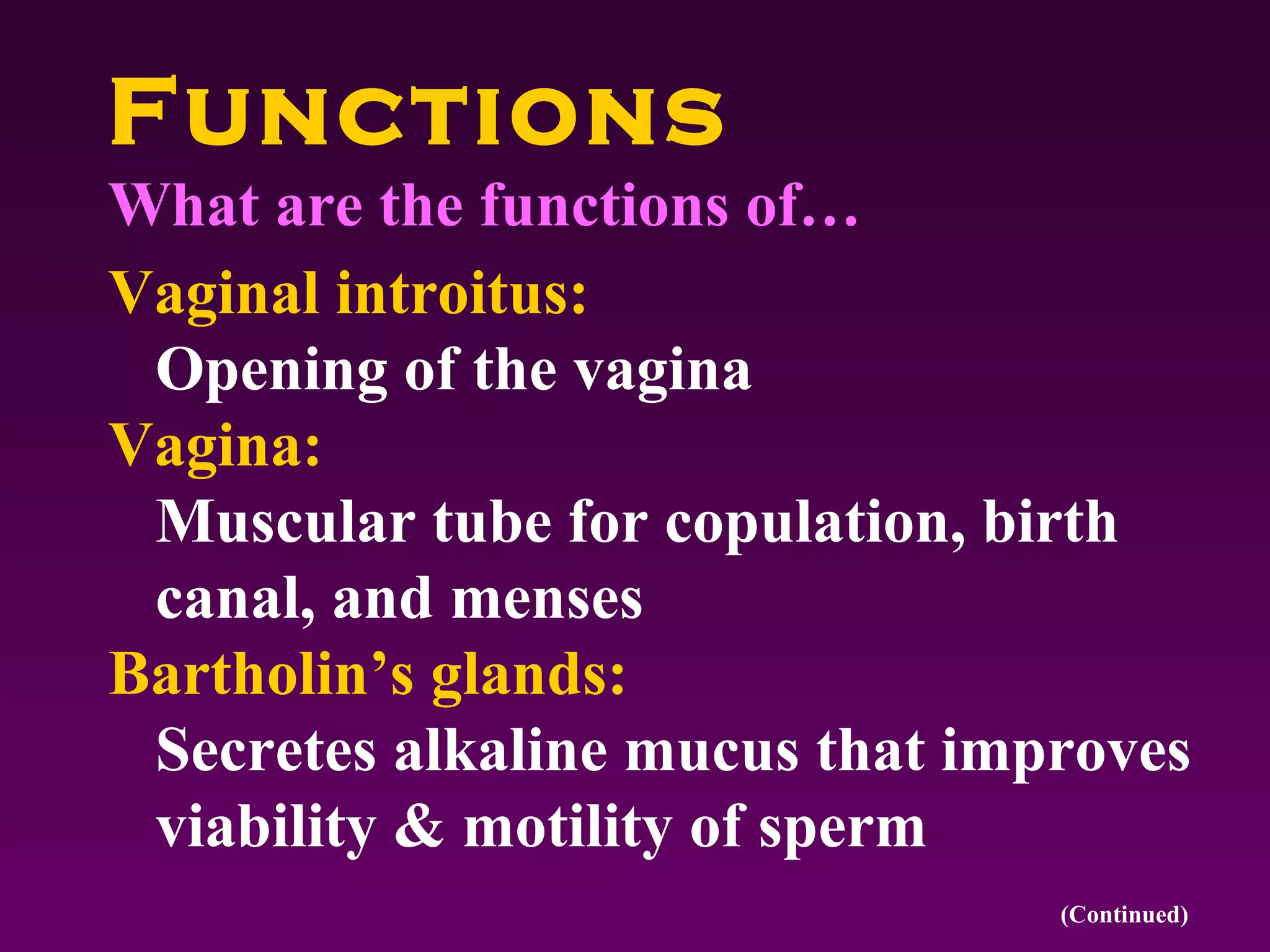 Female system gu | PPT
