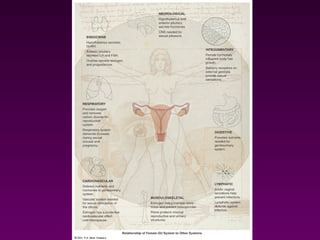 Female system gu | PPT | Free Download