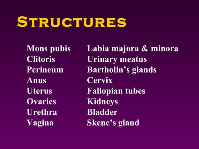 Female system gu | PPT