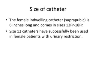 Female urinary catheterization | PPTX