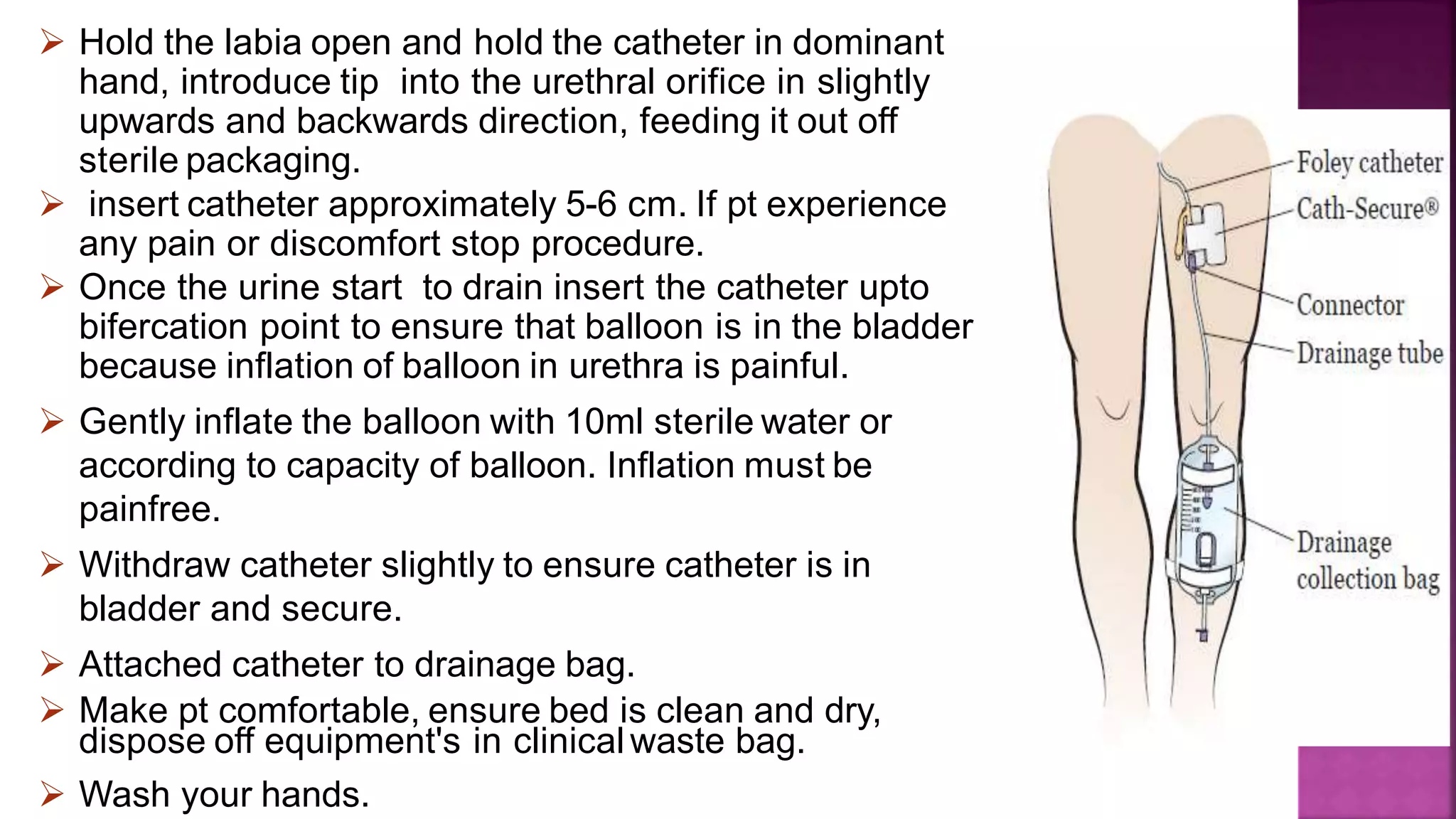 Female urinary catheterization by dr naz ptx (1) | PPTX