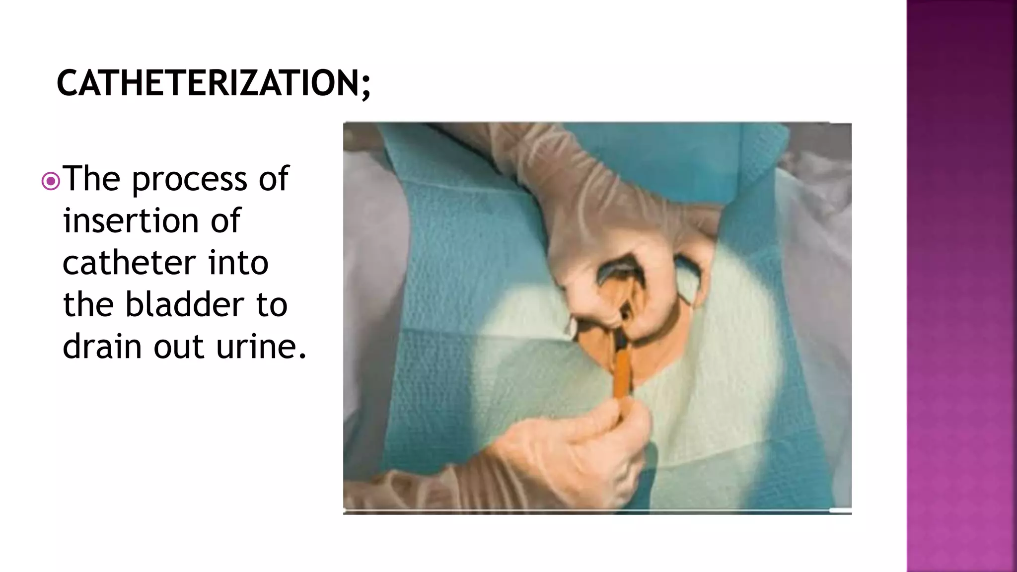 Female urinary catheterization by dr naz ptx (1) | PPTX