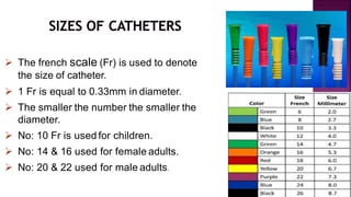 Female urinary catheterization by dr naz ptx (1) | PPTX