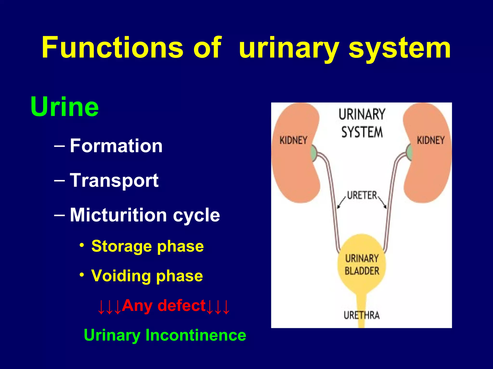 Female urinary incontinence | PPT