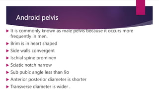 femal pelvis for bsc nursing students......pptx