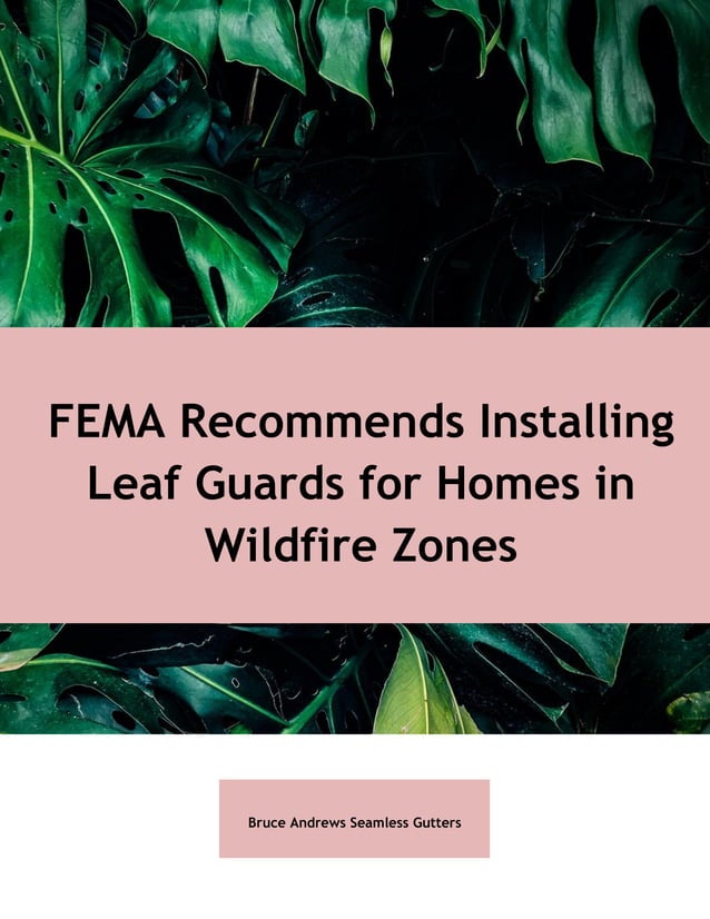 FEMA Recommends Installing Leaf Guards for Homes in Wildfire Zones | PDF