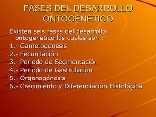 MITOSIS | PPT