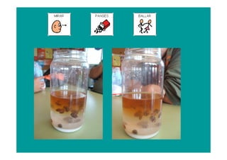 Fem experiments aules 10 i 12 (SPC) | PDF