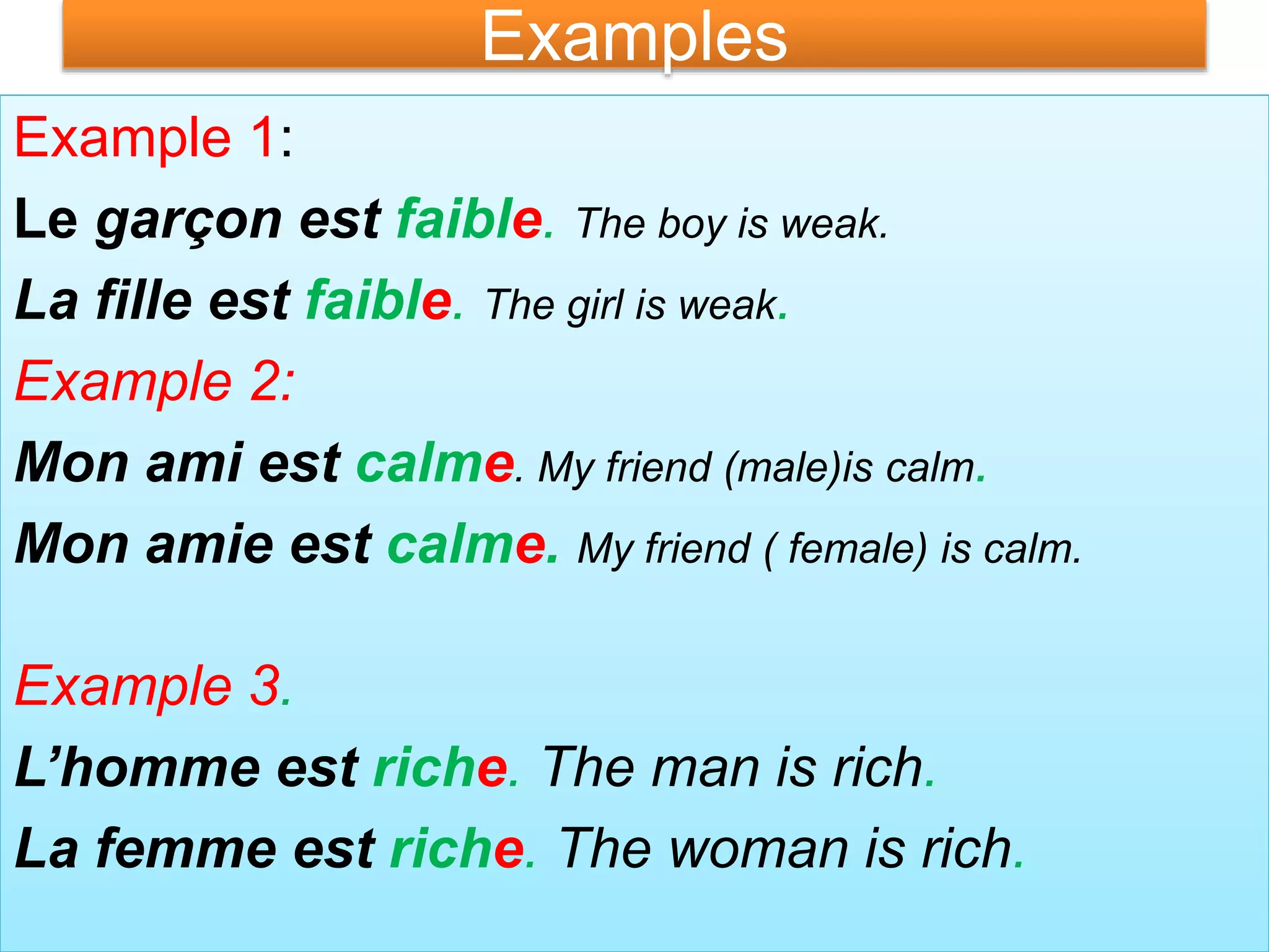 Feminine of French Adjectives | PPTX