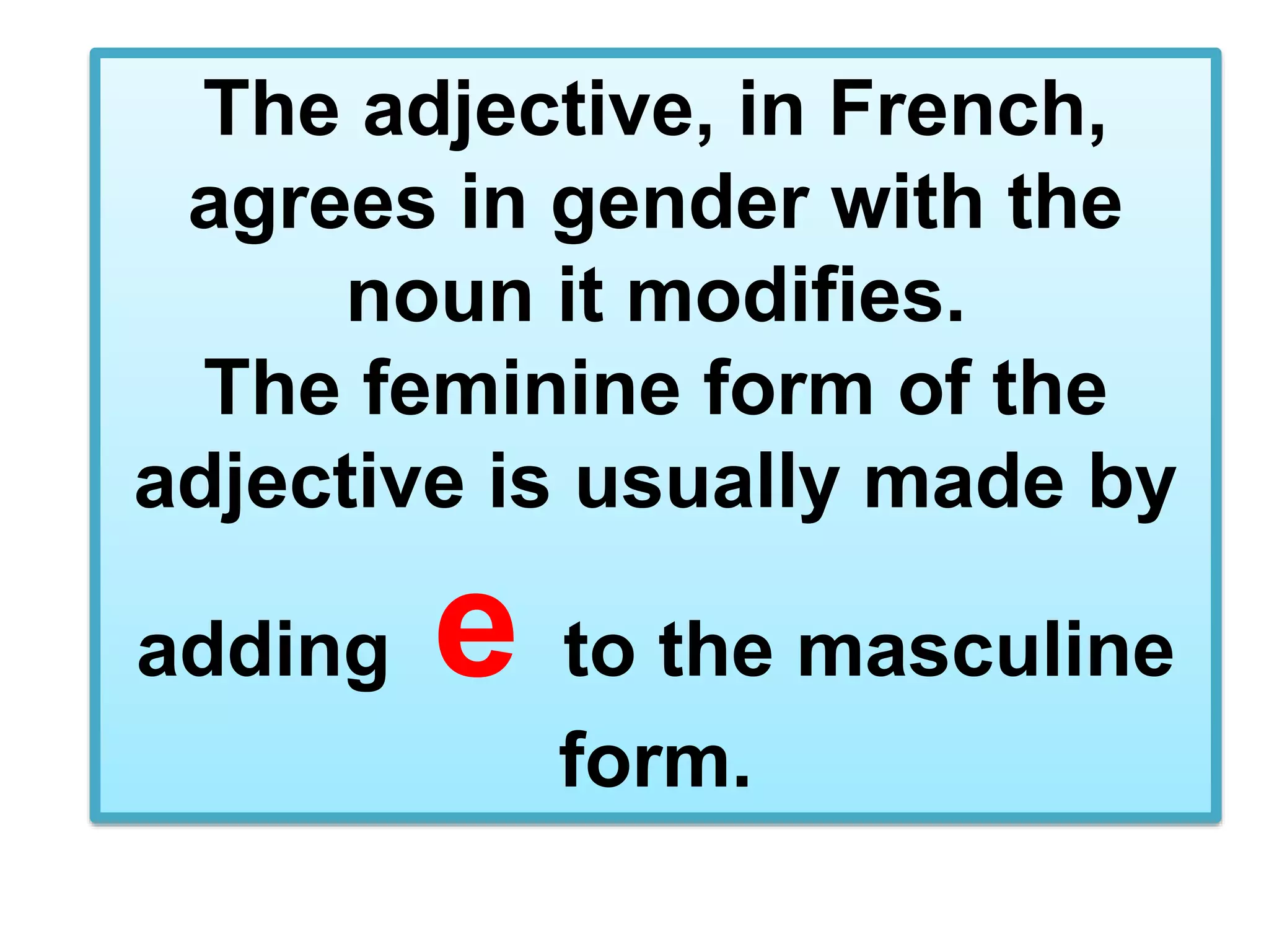 Feminine of French Adjectives | PPTX