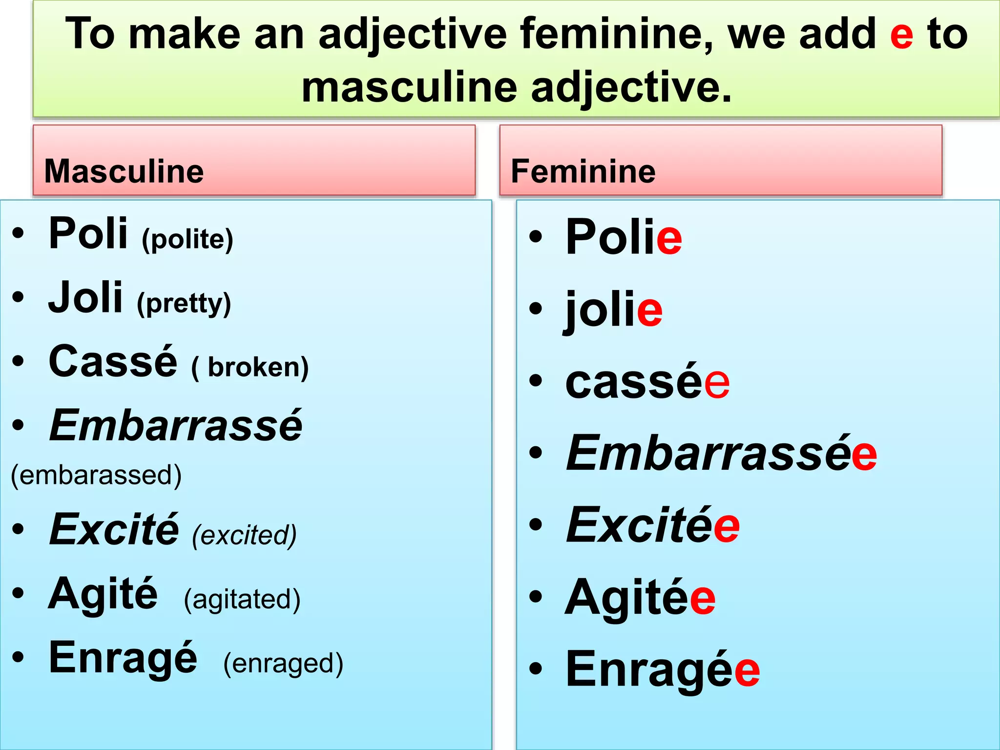 Feminine of French Adjectives | PPTX