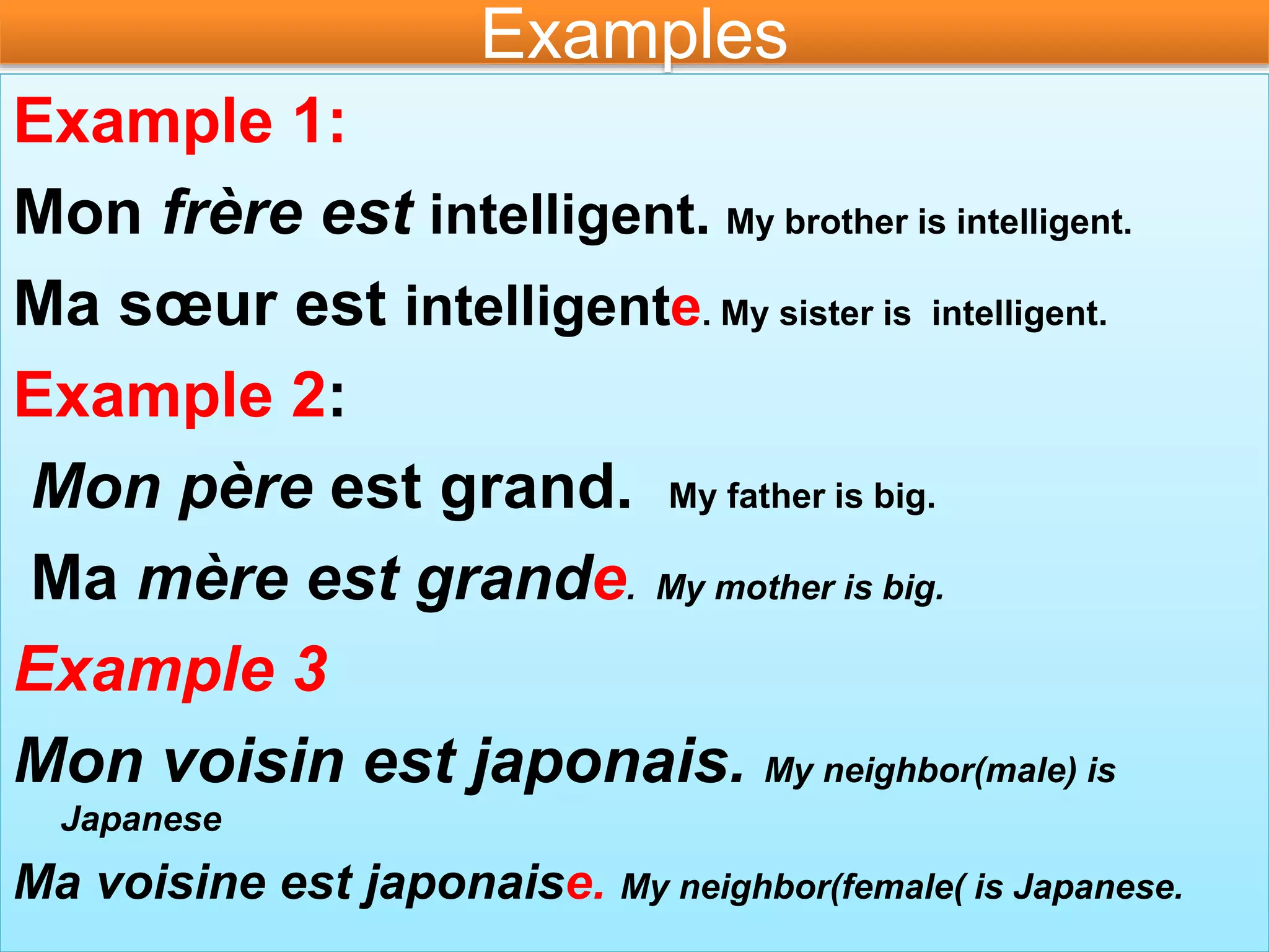 Feminine of French Adjectives | PPTX