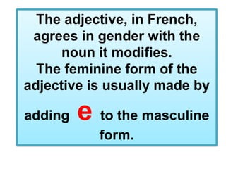 Feminine of French Adjectives | PPTX