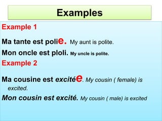 Feminine of French Adjectives | PPTX