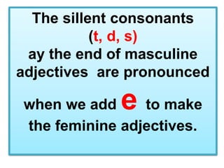 Feminine of French Adjectives | PPTX