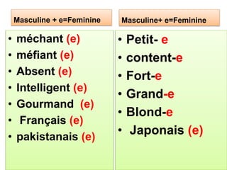 Feminine of French Adjectives | PPTX