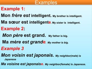 Feminine of French Adjectives | PPTX