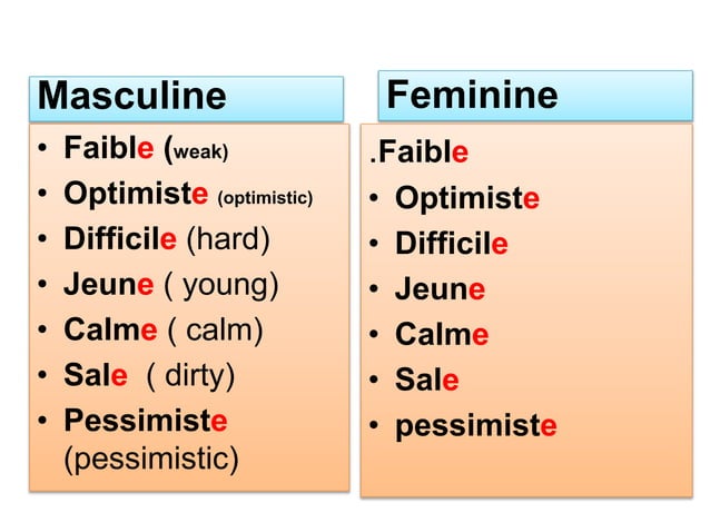 Feminine of French Adjectives | PPT