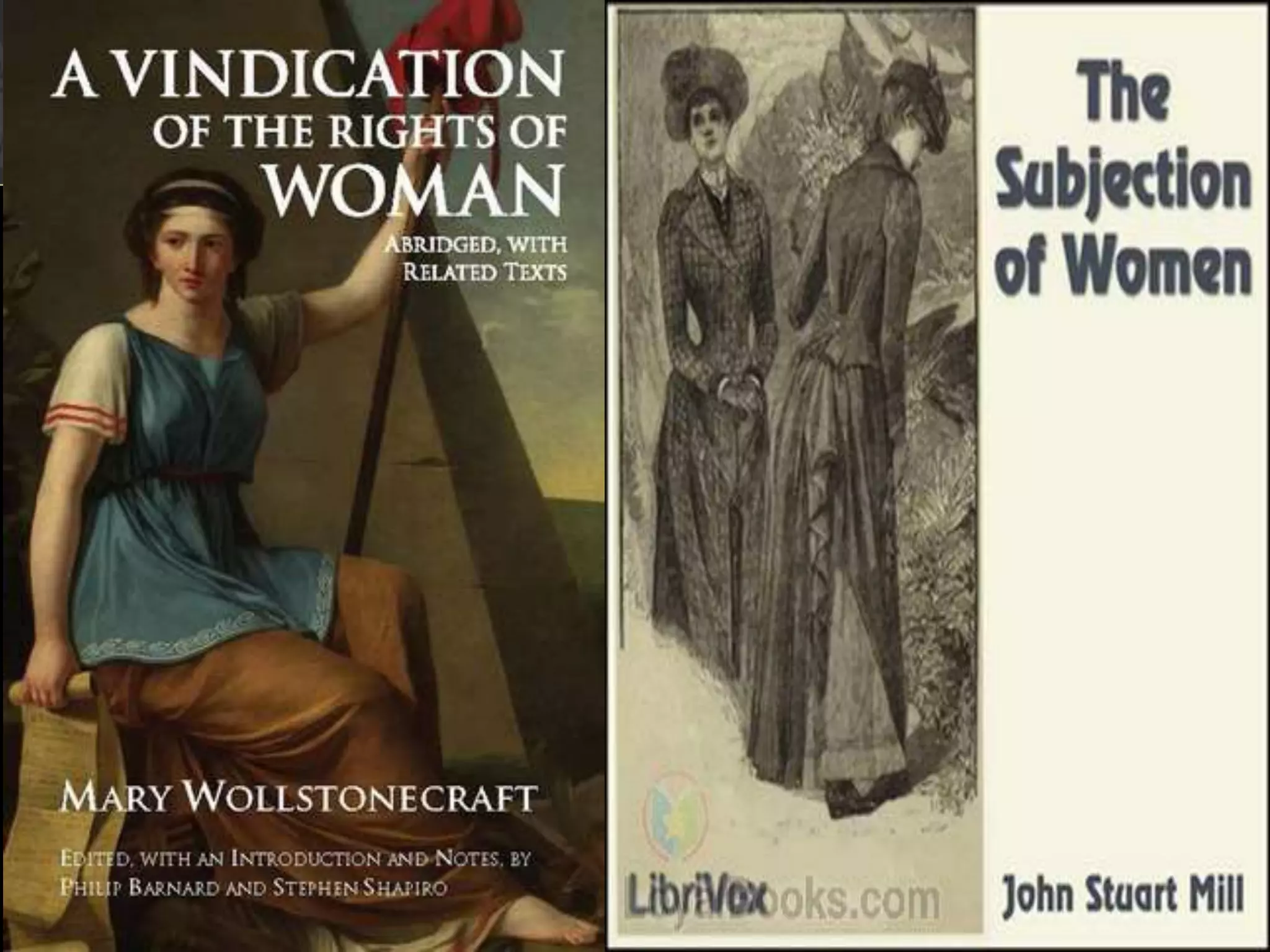 Feminism in Literature | PPTX