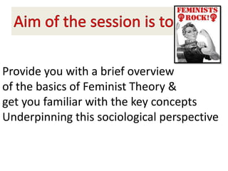 Feminism an introduction | PPTX