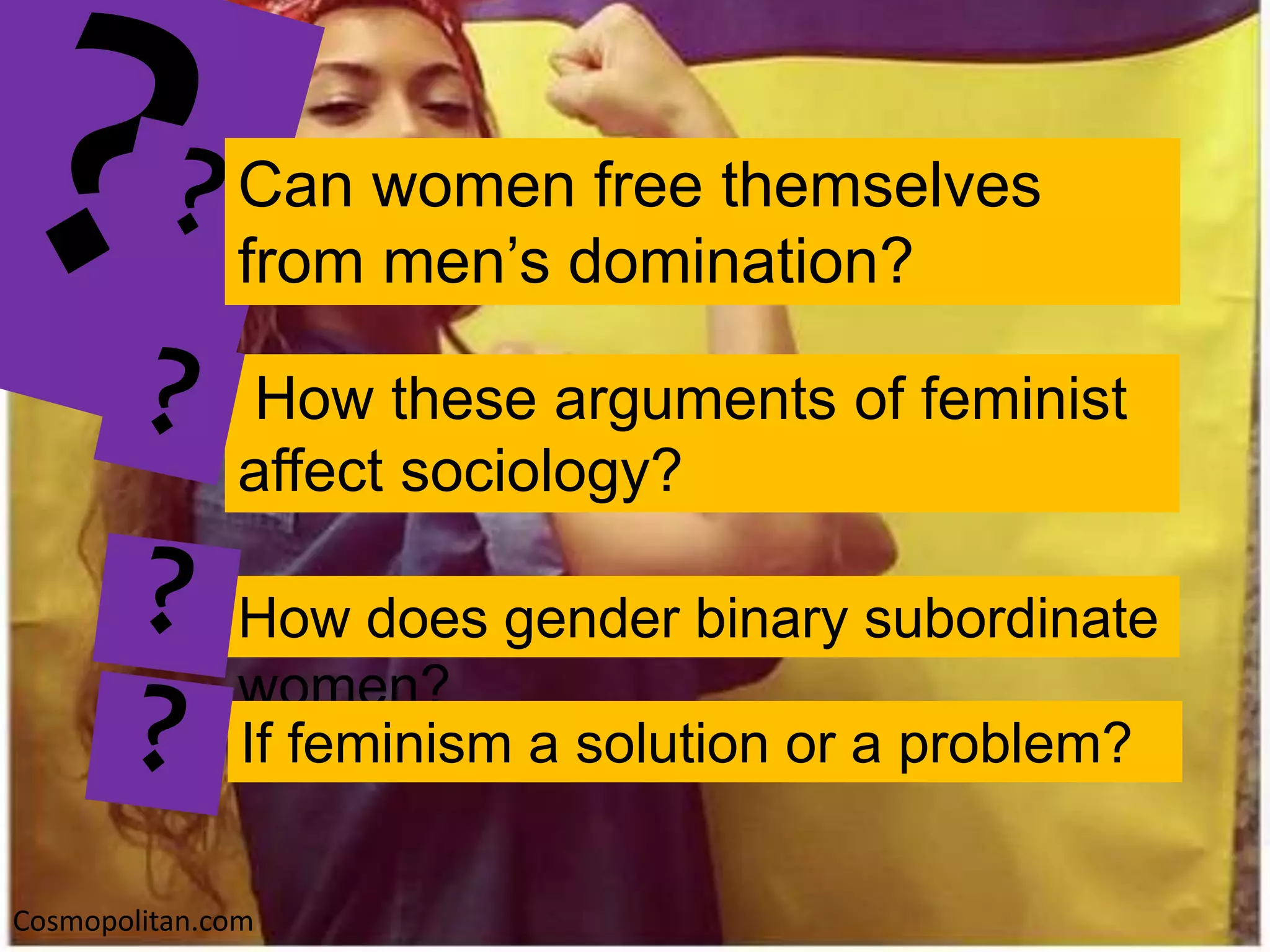 Feminist theories | PPTX
