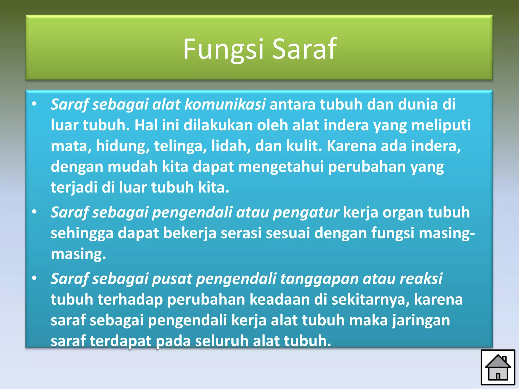 jaringan saraf | PPTX