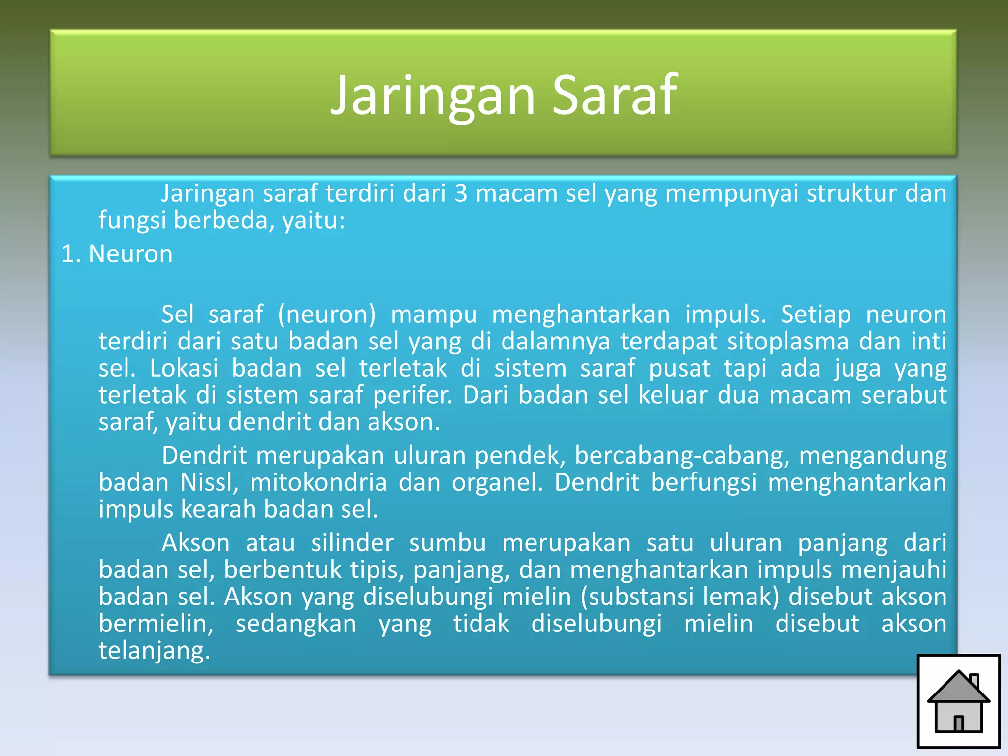 jaringan saraf | PPTX