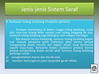 jaringan saraf | PPTX