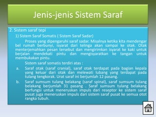 jaringan saraf | PPTX