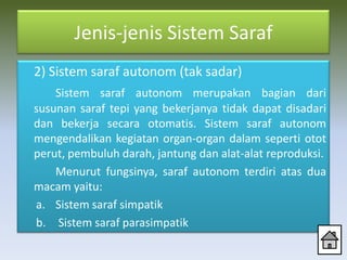 jaringan saraf | PPTX