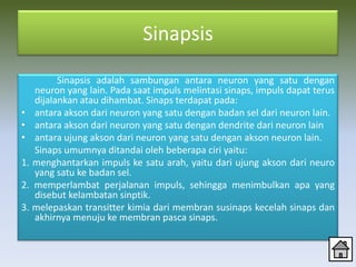 jaringan saraf | PPTX