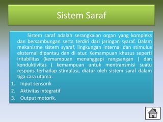 jaringan saraf | PPTX