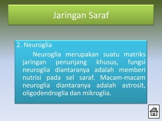 jaringan saraf | PPTX
