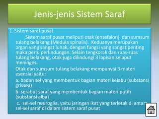 jaringan saraf | PPTX