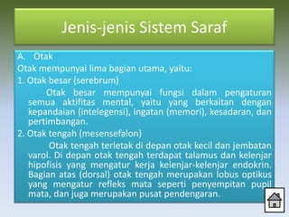 jaringan saraf | PPTX