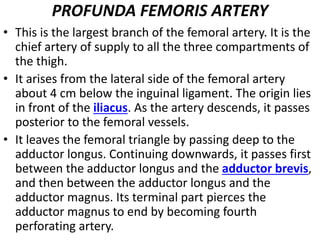 femoralartery-180430021308.pdf