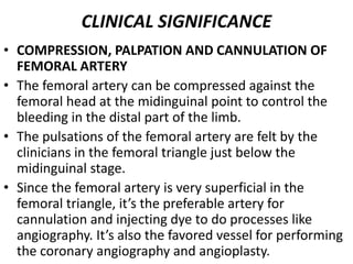 femoralartery-180430021308.pdf