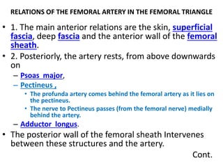 femoralartery-180430021308.pdf