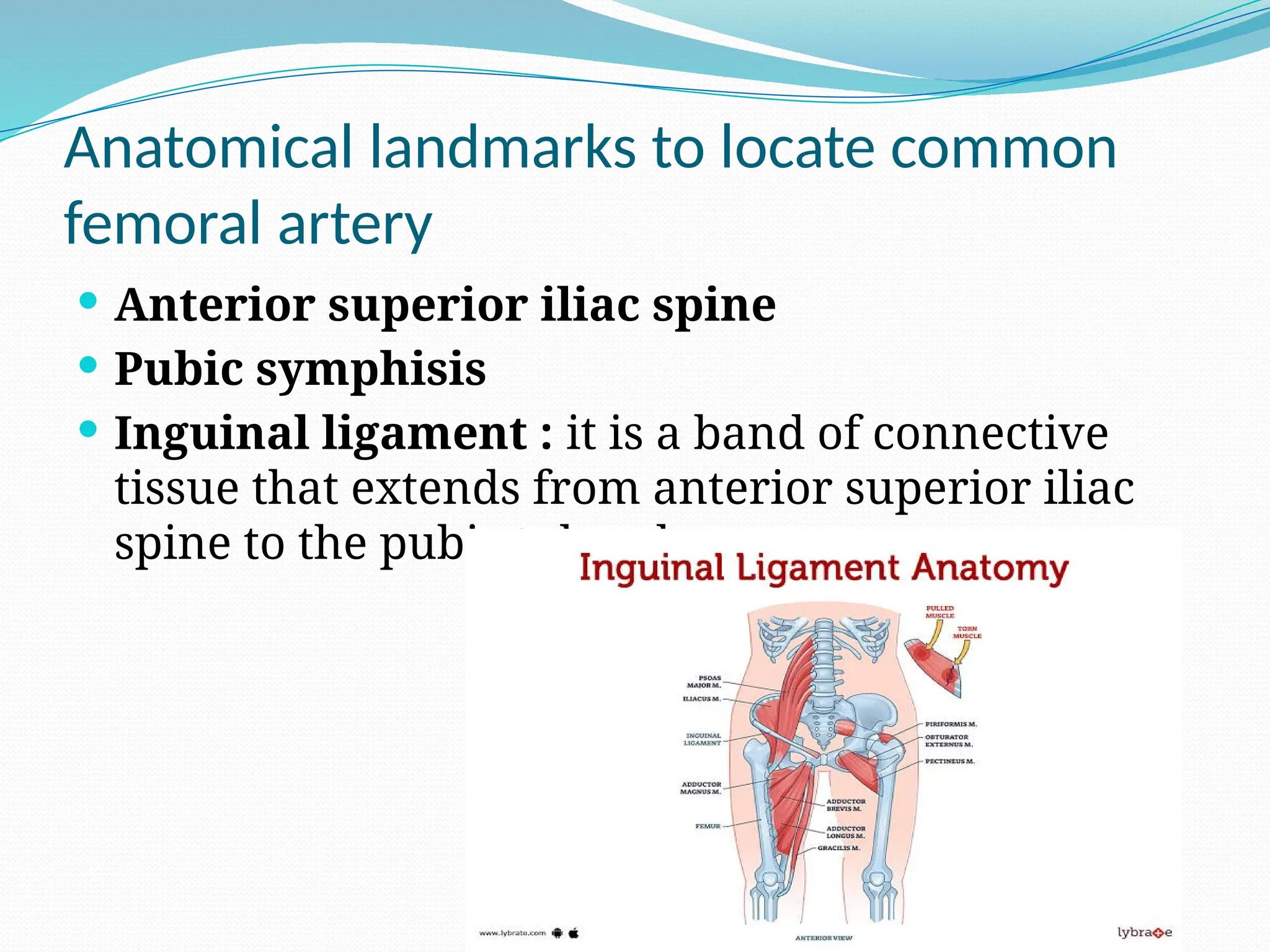 Femoral Artery Access for catheterization procedureure.pptx