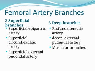 Femoral Artery Access for catheterization procedureure.pptx
